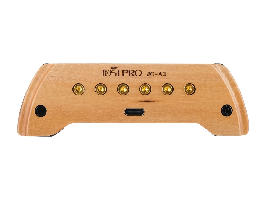 Звукосниматель для акустической гитары Justpro JC-A2: цена, характеристики, купить в Москве и ...